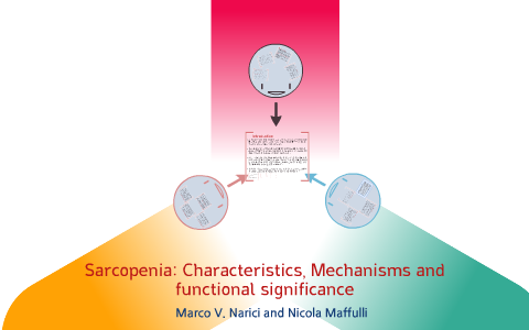 Sarcopenia: Characteristics, mechanisms and functional significance by ...