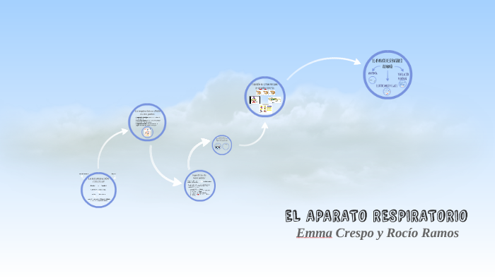 EL APARATO RESPIRATORIO by Roo Ramos on Prezi