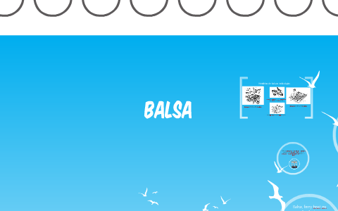 balsa (ferry boat) by Lari borges on Prezi