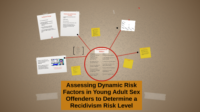 Assessing Dynamic Risk Factors in Young Adult Sex Offenders by Faith ...