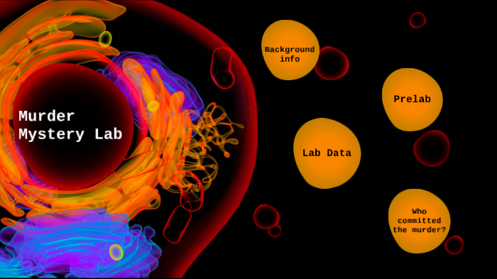 Murder Mystery Lab by Hunter Gubeno on Prezi