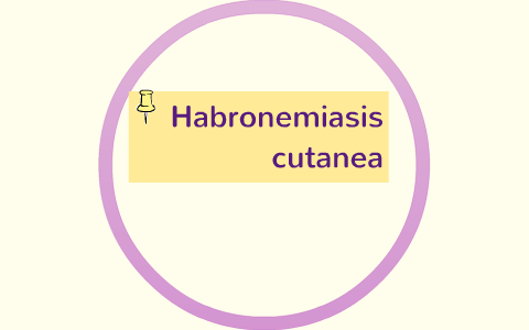Habronemiasis cutanea by carolina saa on Prezi