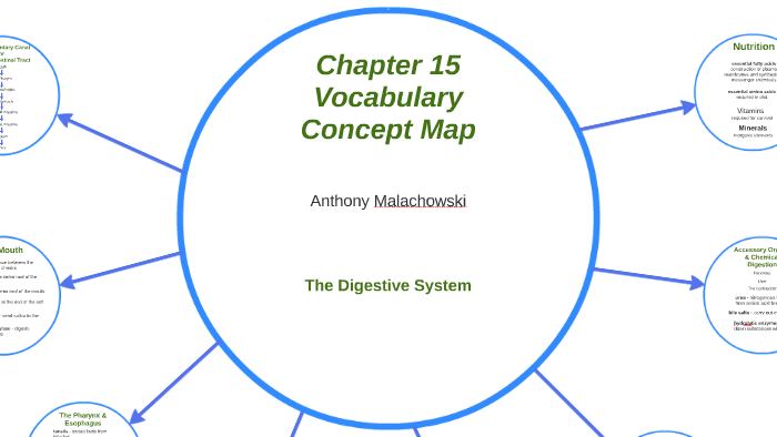 Chapter 15 Vocabulary Concept Map by Anthony Malachowski on Prezi