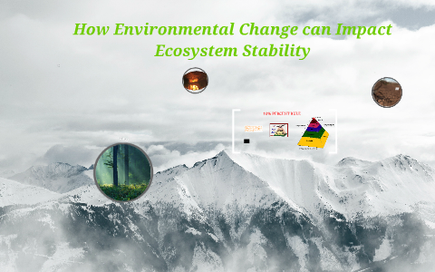 How Environmental Change can Impact Ecosystem Stability by Tyler Hayes ...