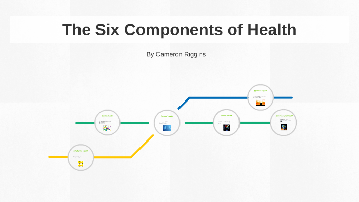 The Six Components of Health by Cameron Riggins
