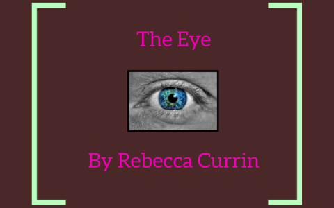 The Eye by rebecca currin on Prezi