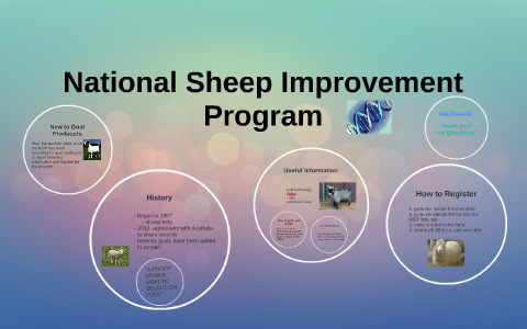 National Sheep Improvement Program by Laura Johnston on Prezi
