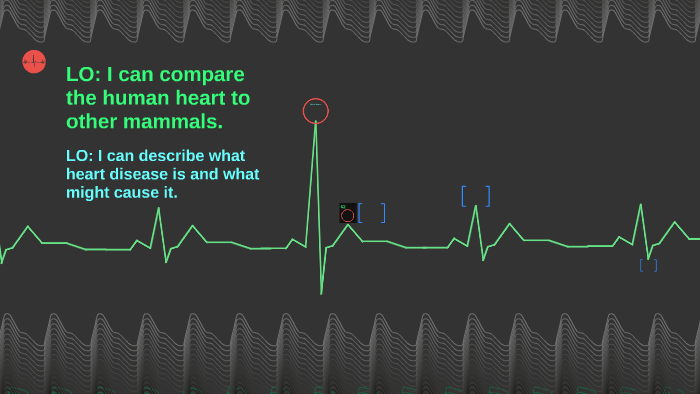 LO: I can compare the human heart to other mammals. by Megan Fawcett on ...