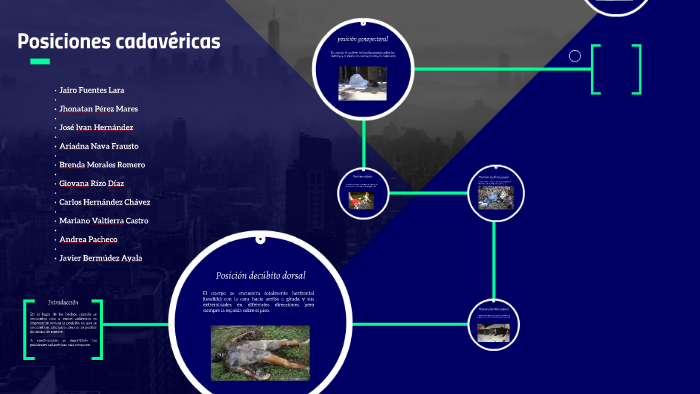 Posiciones cadavéricas by Javier BA on Prezi