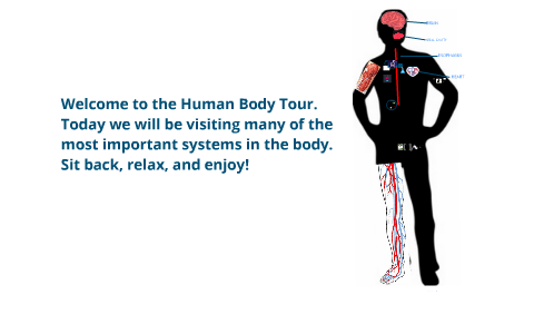 Human Body Tour by Sreya Chamathil on Prezi