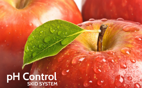 pH Control Skid System by Arthel Tongo on Prezi