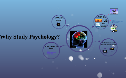 Why Study Psychology? by Theresa Raymer on Prezi