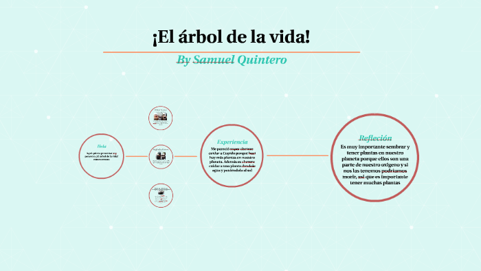 ¡El árbol de la vida! by sara jannie quintero ortiz