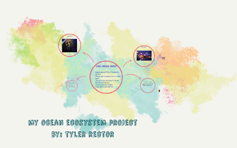 my ocean ecosystem project by Tyler Rector on Prezi