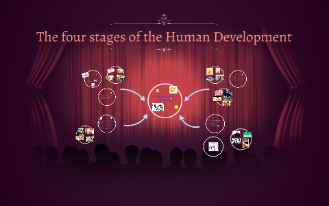 The four stages of the Human Development by Danna Chavez on Prezi