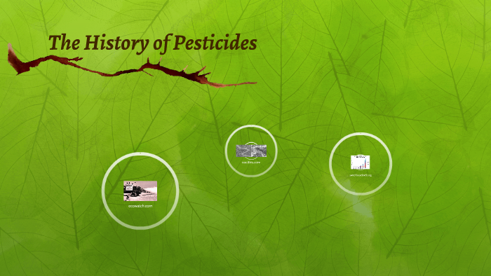 The History of Pesticides by Zane Taillon on Prezi