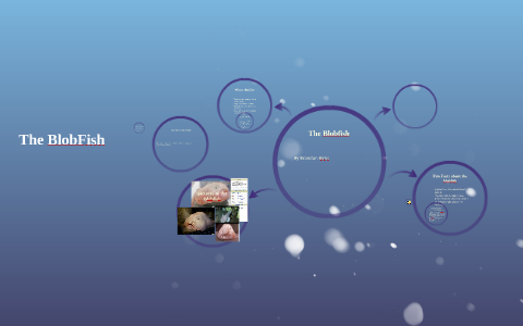 The Blobfish by Brandon Birks on Prezi