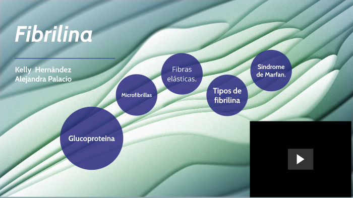 Fibrilina by aleja palacio on Prezi