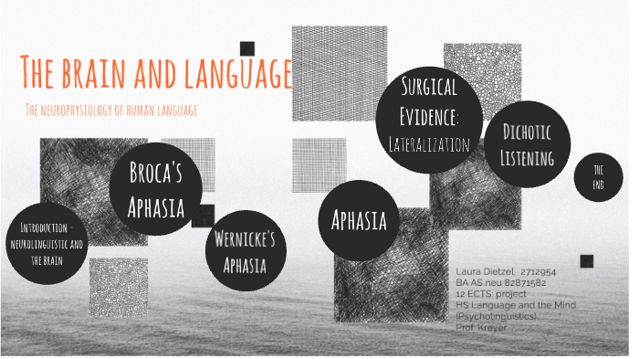The brain and language by Laura Dietzel on Prezi