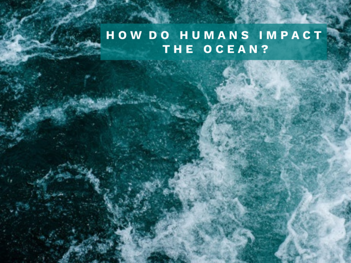 Human impacts on the ocean by Ananya vyas on Prezi