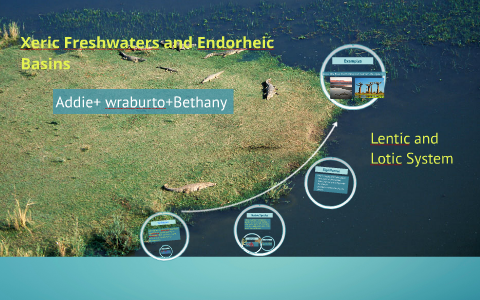 Xeric Freshwaters and Endorheic Basins by Addie Alvarez on Prezi