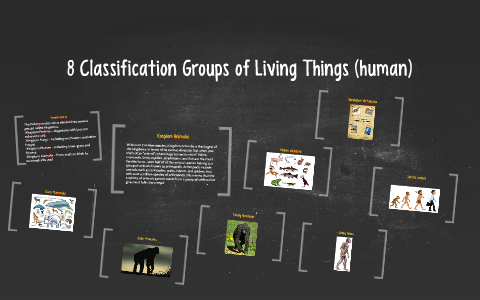 8 Classification Groups of Living Things by casey nichols on Prezi