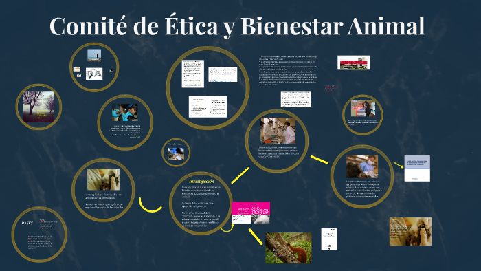 Comite de Etica y Bienestar Animal by miryam quevedo on Prezi