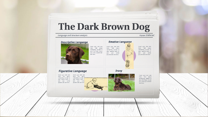 The Dark Brown Dog by Hazen Tekin on Prezi