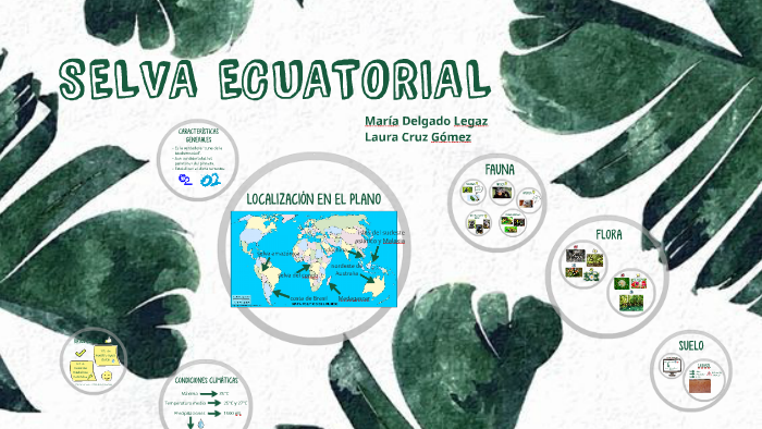 SELVA ECUATORIAL by María Delgado on Prezi