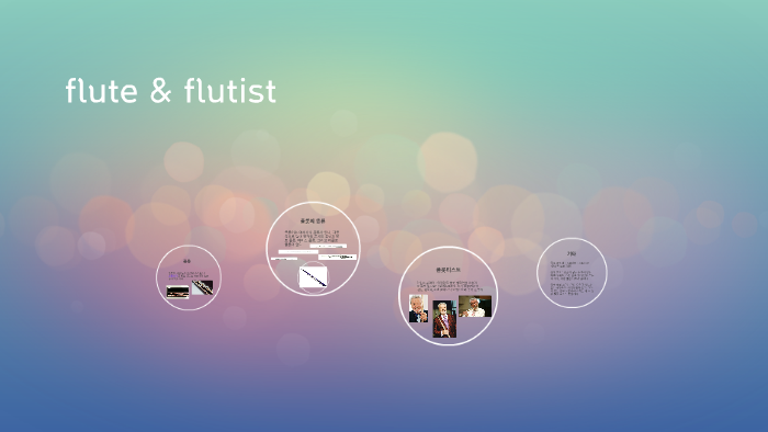 flute & flutist by yun hui jang