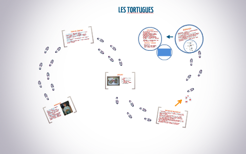 LAS TORTUGAS by Clara Colom on Prezi