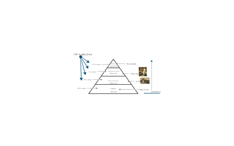 Science energy pyramid by Johnny Hyland on Prezi