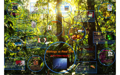 Biology In Real Life by Christine Nguyen on Prezi