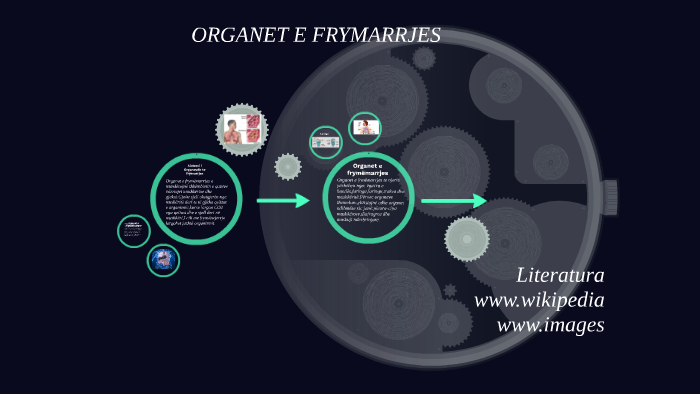 Organet e frymarrjes by Fjolla Tahiri on Prezi