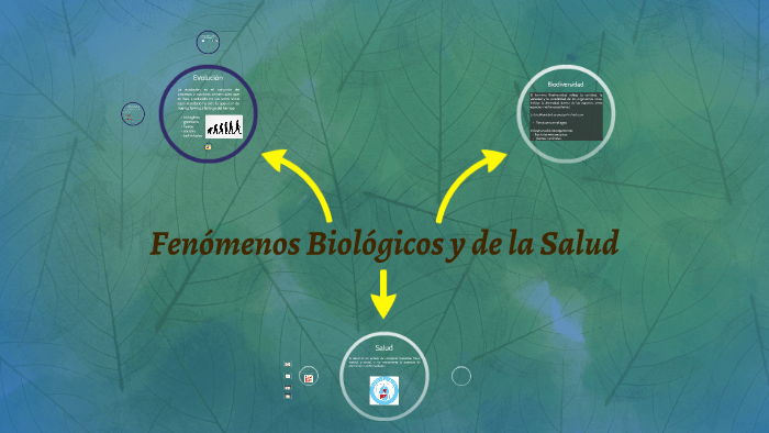 Fenómenos Biológicos y de la Salud by Carlos Toache on Prezi