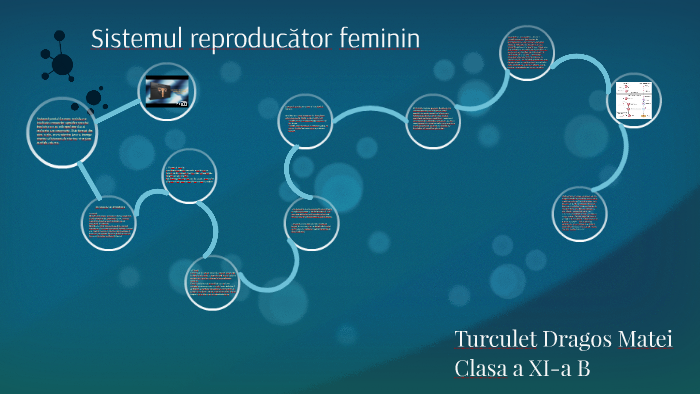 Sistemul reproducător feminin by Matei Turculet on Prezi