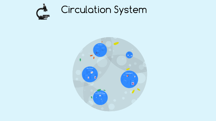 Circulation Mind Map by Gurkirat Banwait on Prezi