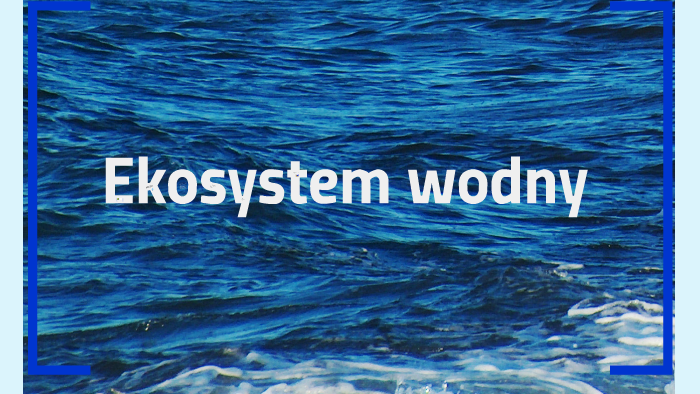 Ekosystem wodny by RO PE on Prezi