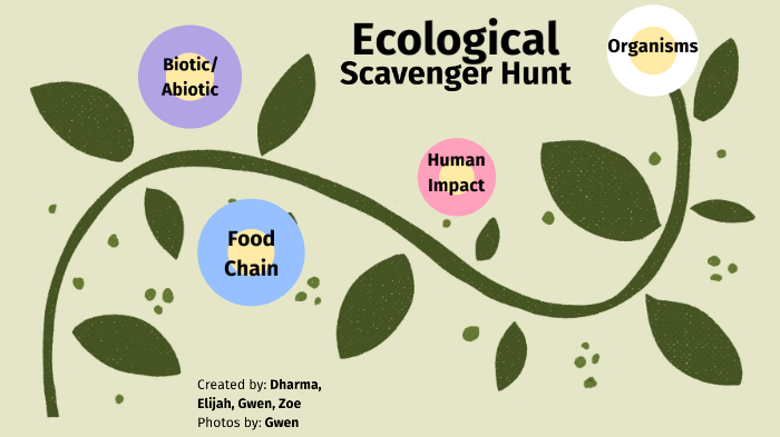 Ecological Scavenger Hunt by Gwen Ramsey on Prezi