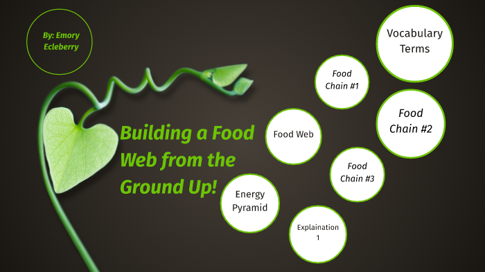 Building A Food Web From the Ground Up! by emory ecleberry on Prezi