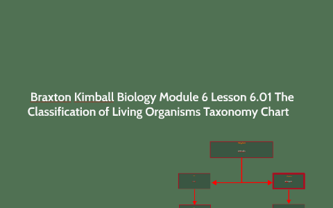 Braxton Kimball Module 6 lesson 6.01The Classification of Living ...