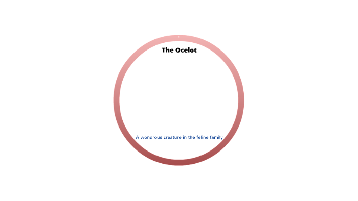 Ocelot Animal Science Project by Ophios Orion on Prezi