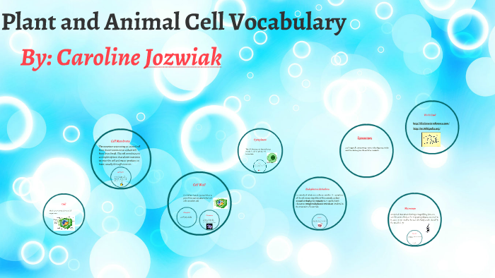 Plant and Animal Cell Vocabulary by Caroline Jozwiak on Prezi