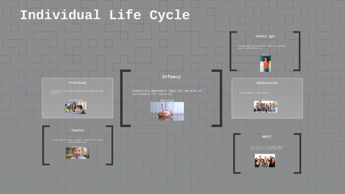 Individual Life Cycle by Abby Smith on Prezi