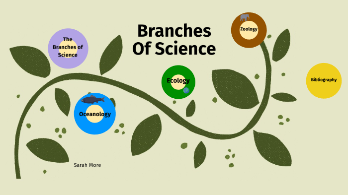 What Are The Different Branches Of Science The Major Major Branches Of