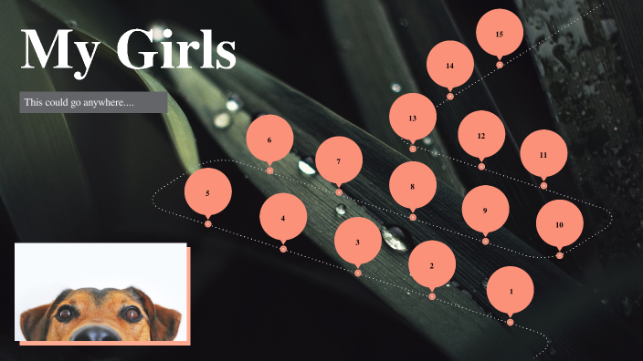 WHAT IS IT? by Millie Storey on Prezi