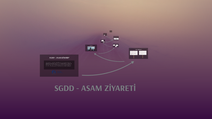 SGDD ASAM by Yağmur Güvenç on Prezi