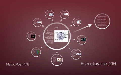 Estructura del VIH by Marco Pozo on Prezi