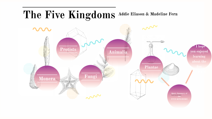 maddie and addie by on Prezi