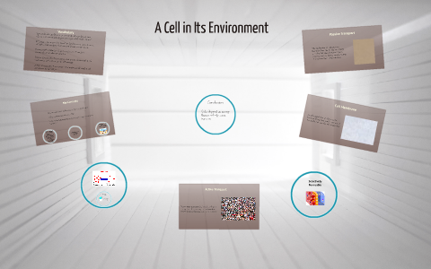 A Cell in Its Environment by on Prezi